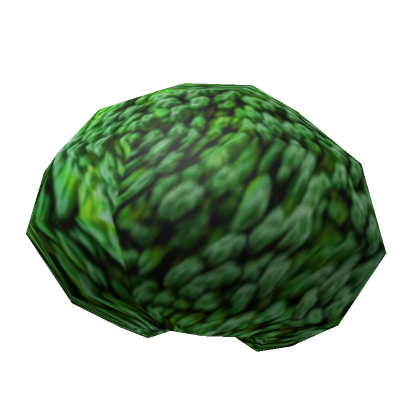 Big Broccoli Afro | Roblox Item - Rolimon's