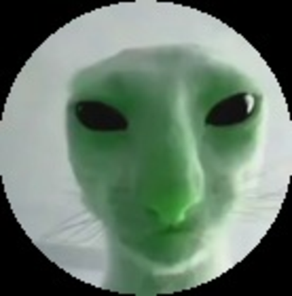 Alien Cat - Roblox