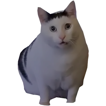 Huh cat | Roblox Item - Rolimon's