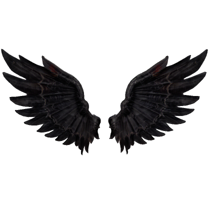 👿 Black Wings 👿 | Roblox Item - Rolimon's