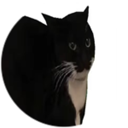 Maxwell Cat - Roblox