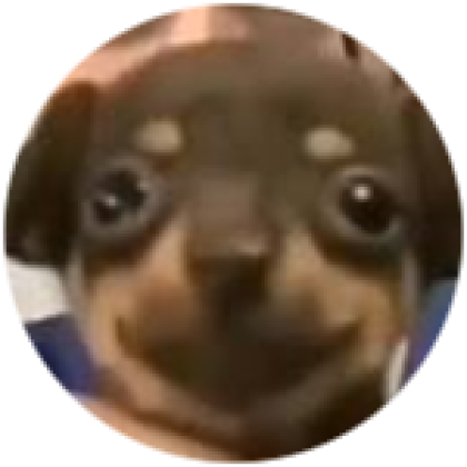 perrito sonriendo - Roblox