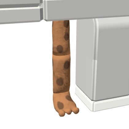 Sponge Tim 什 - Roblox