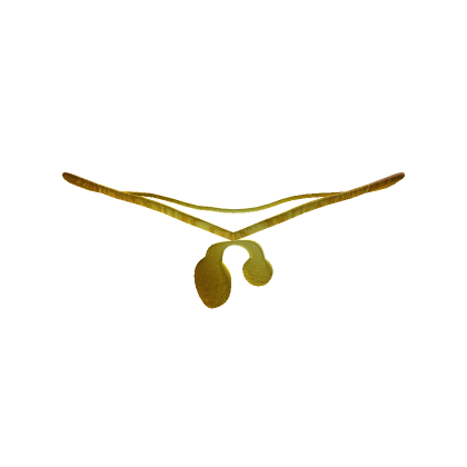 Clockwork Necklace | Roblox Item - Rolimon's