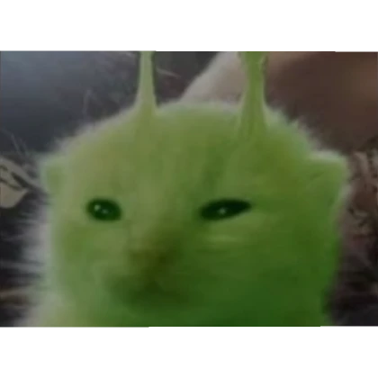 Gnarp Cat Box 👽 | Roblox Item - Rolimon's