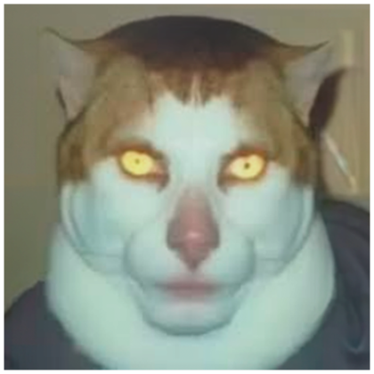 SINGING CAT MEME PFP | Roblox Item - Rolimon's
