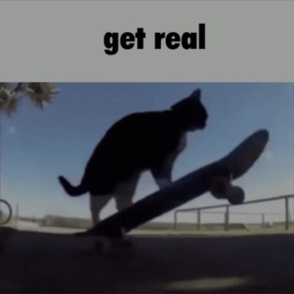 get real pfp | Roblox Item - Rolimon's