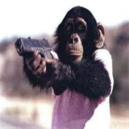 chimp with a gun