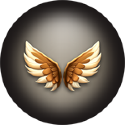 Flying Pass - Roblox