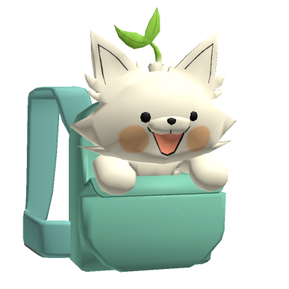 กระเป๋าเป้สะพายหลัง - Roblox