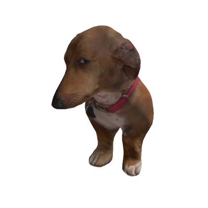 Yan Göz Köpek Takımı - Roblox