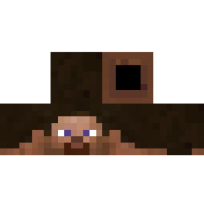 Steve Head (For Texture)