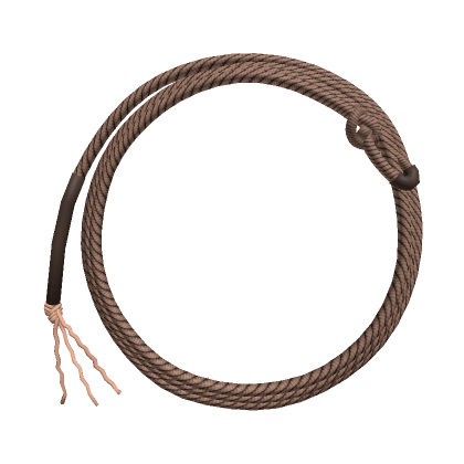 Brown Shoulder Lasso | Roblox Item - Rolimon's