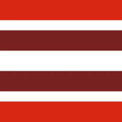 the mauryan empire flag