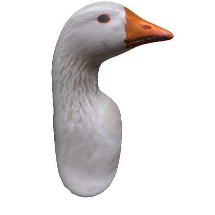 Realistic Goose head 🤍 | Roblox Item - Rolimon's
