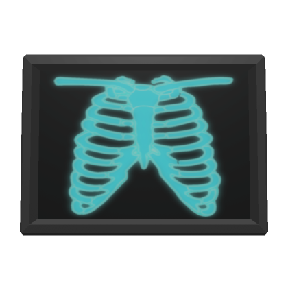 Ribcage X-ray | Roblox Item - Rolimon's
