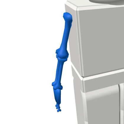 Skelly - Right Arm's Code & Price - RblxTrade