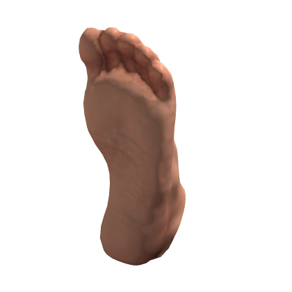 Foot [DYNAMIC] - Roblox