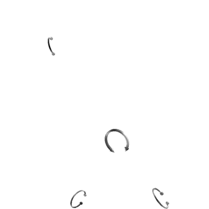 Piercing set in silver | Roblox Item - Rolimon's