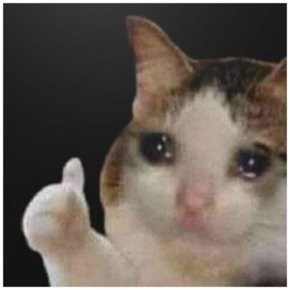 sad cat meme pfp | Roblox Item - Rolimon's