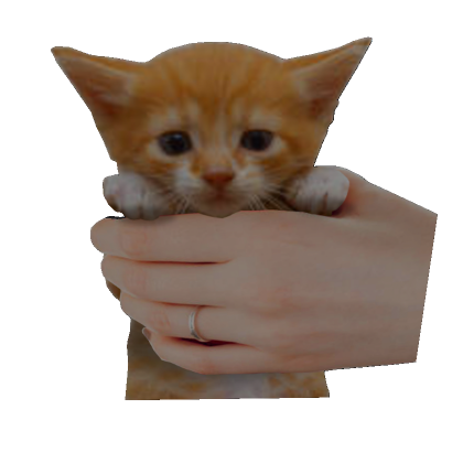 Cat | Roblox Item - Rolimon's