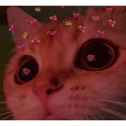 cat (profile picture) | Roblox Item - Rolimon's