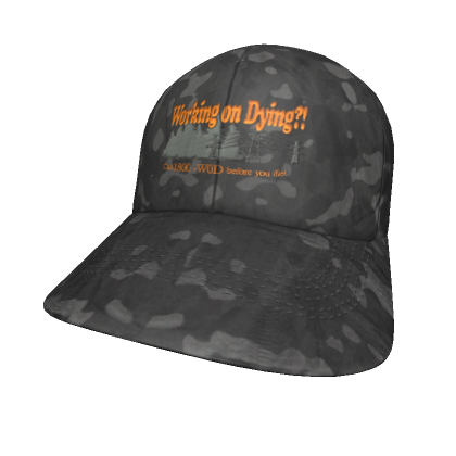 WOD Camo Hat | Roblox Item - Rolimon's