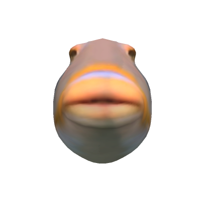 Staring Fish Head | Roblox Item - Rolimon's