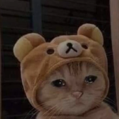 Sob Crying Cat Pfp | Roblox Item - Rolimon's