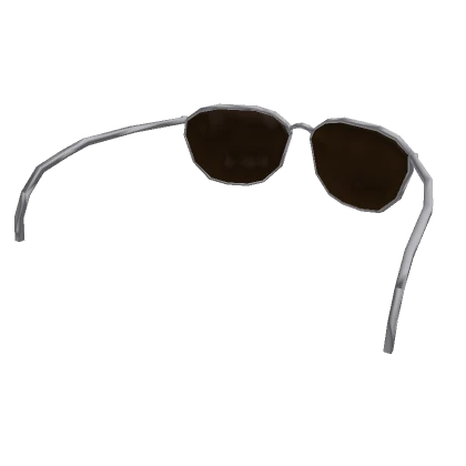 Darwin's Glasses | Roblox Item - Rolimon's