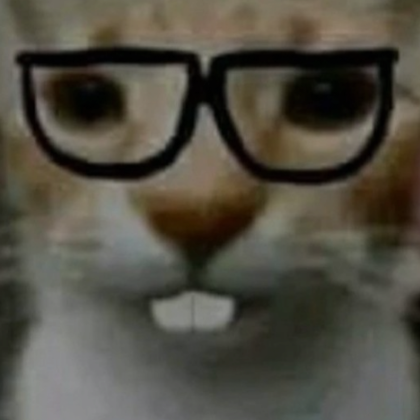 nerd cat 🤓 (profile picture) | Roblox Item - Rolimon's