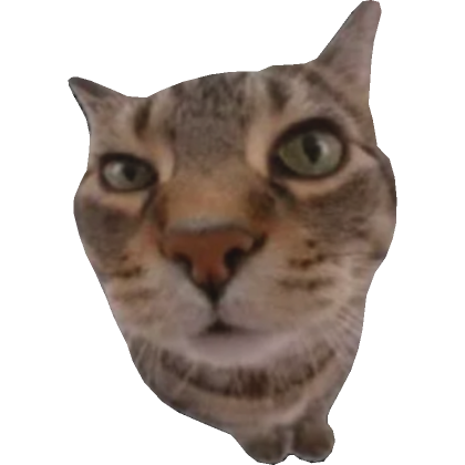 Cat | Roblox Item - Rolimon's