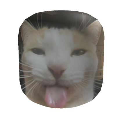 Blehh Cat | Roblox Item - Rolimon's