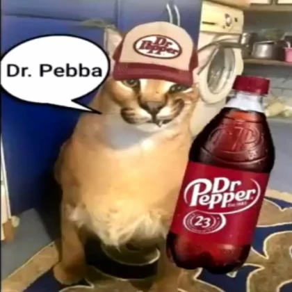 Dr pebba floppa