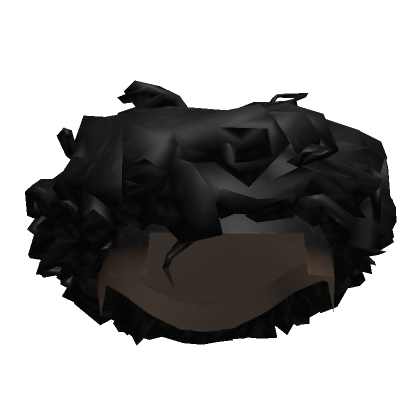 Black Curly Afro | Roblox Item - Rolimon's