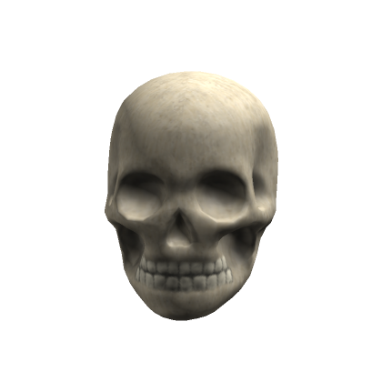 Skull Head Small (for headless) | Roblox Item - Rolimon's
