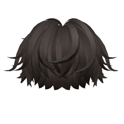Boys Hair | Roblox Item - Rolimon's