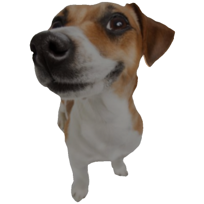 Dog | Roblox Item - Rolimon's