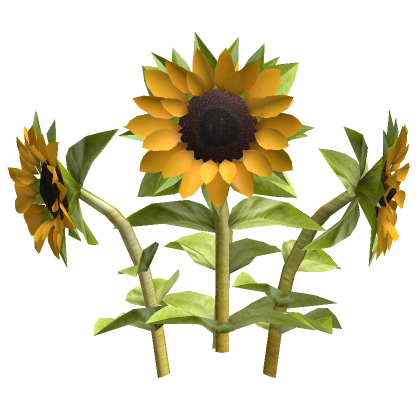 Sunflowers | Roblox Item - Rolimon's
