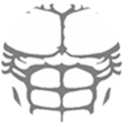 roblox abs t-shirt - Roblox