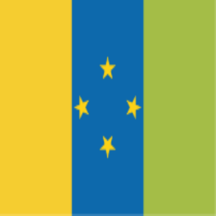 Nusia flag (Dummies vs noobs)