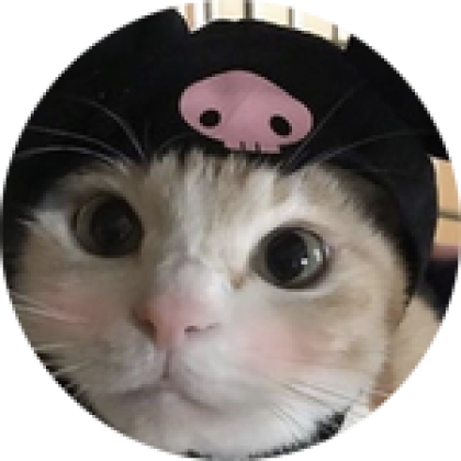 cute cat - Roblox