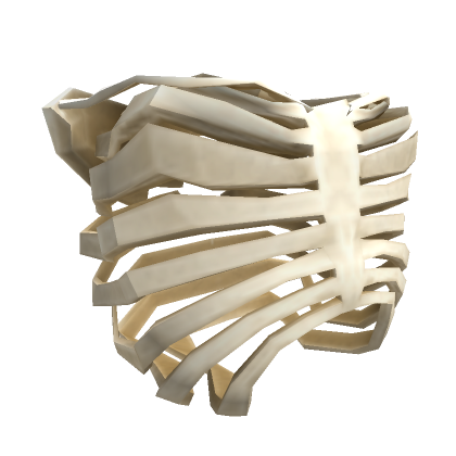 Skeleton Ribcage | Roblox Item - Rolimon's