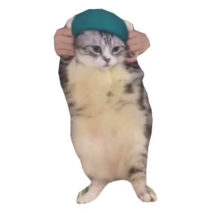 Funny Fat Cat Dancing | Roblox Item - Rolimon's