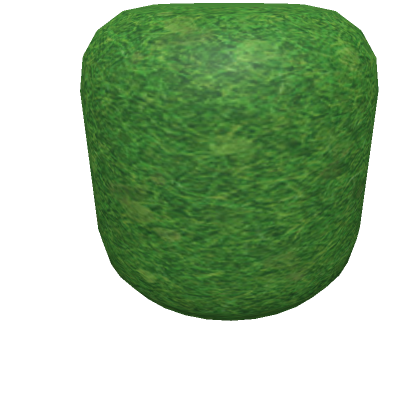 Classic Grass Head | Roblox Item - Rolimon's