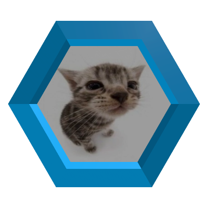 ImagePortal: Silly Cat's Code & Price - RblxTrade