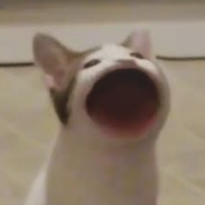 Pop Cat Meme PFP | Roblox Item - Rolimon's