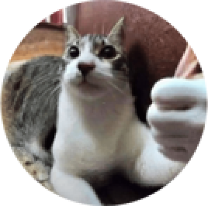 Gato dando un like - Roblox
