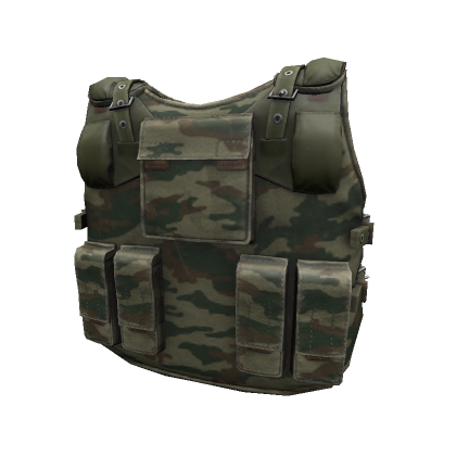 6B3 Flora Body Armor | Roblox Item - Rolimon's