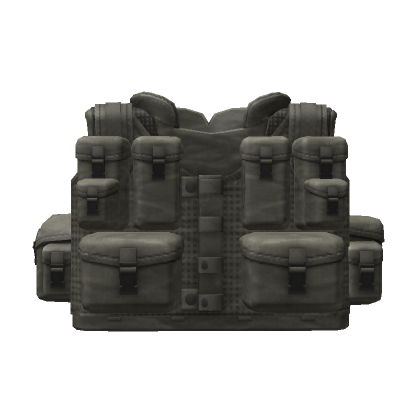 Ranger Frag Vest + LBV | Roblox Item - Rolimon's